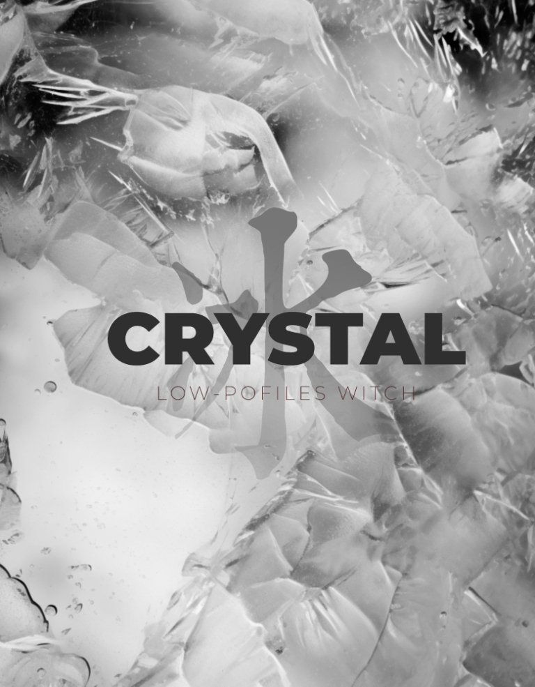 Haute-Switch – cosmoxgaming